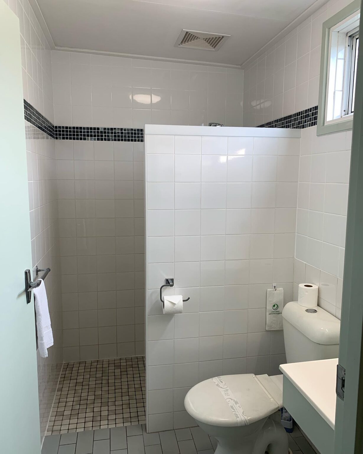 35 Modern Small Walk-In Shower Ideas No Doors - Addicted To Organization